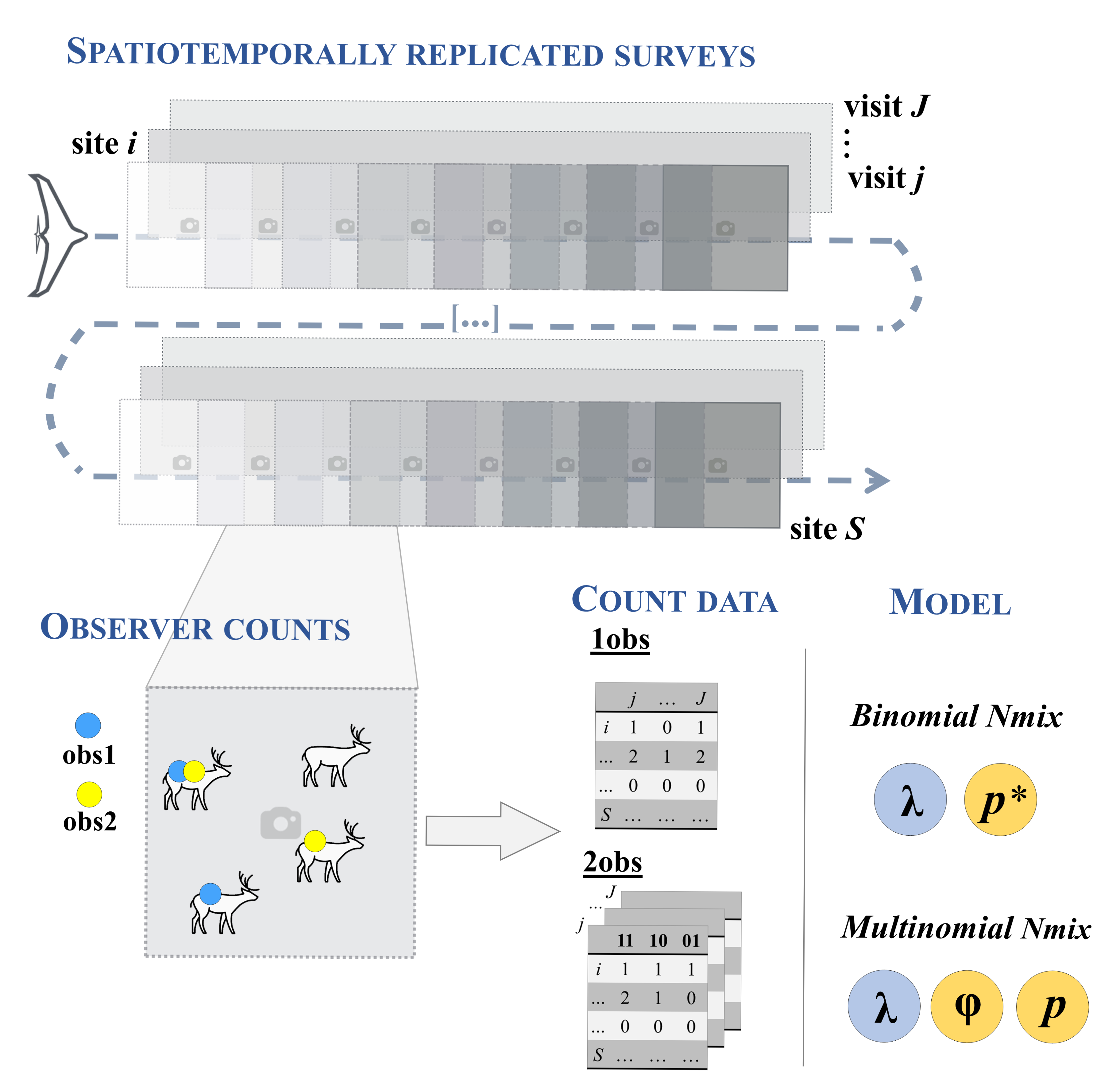 Sampling Design And N Mixture Modeling Structure For Spatiotemporally Replicated Drone Based Surveys